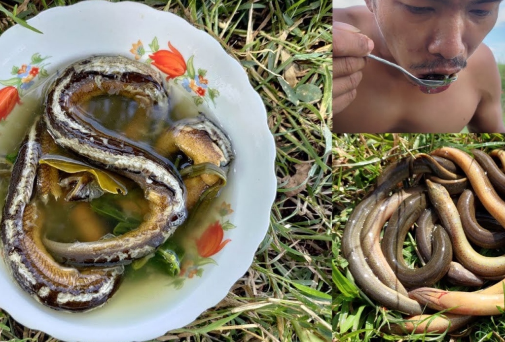 Eel Soup Viral Video Sparks Online, Leaked Footage And Viral Video ...
