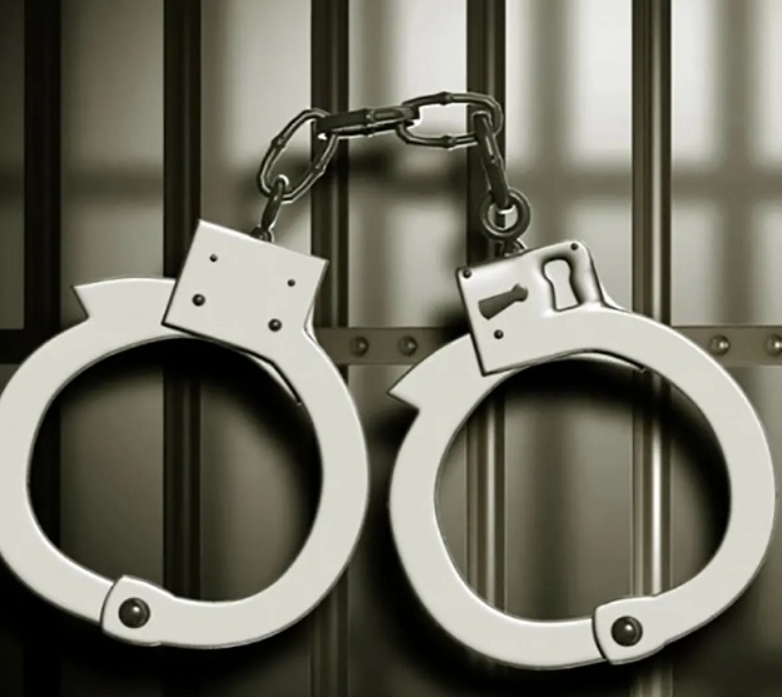 Meredith City Mayor's Daughter, LaDawn Mims, Arrested, Charges And ...