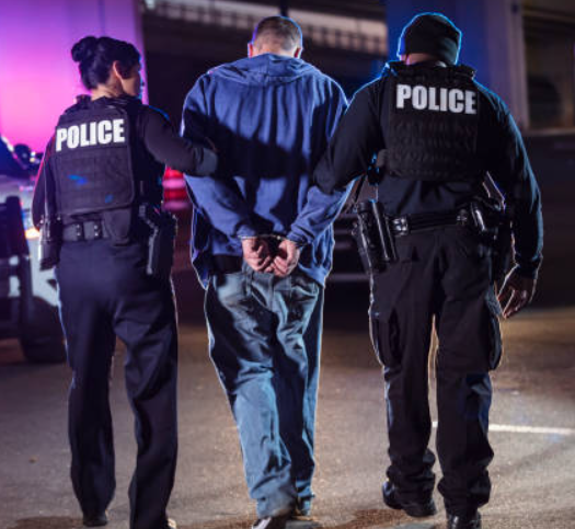 TSA Official Maxine McManaman: Arrest Charges, Detained in Atlanta And ...