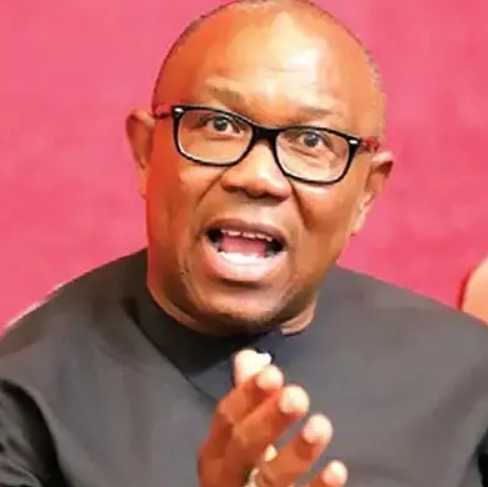 Peter Obi (Politician): Ethnicity, Religious Faith, Career And More