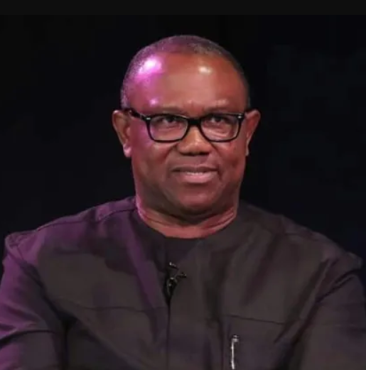 Peter Obi (Politician): Ethnicity, Religious Faith, Career And More