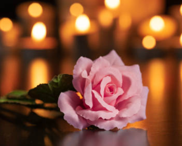 Amy Engel Cause Of Death And Obituary : Illness And Health At Death ...