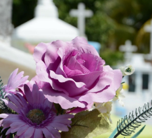 Jimmy Castillo (Obituary): Who Was He? La Brea Cast Death Cause And ...