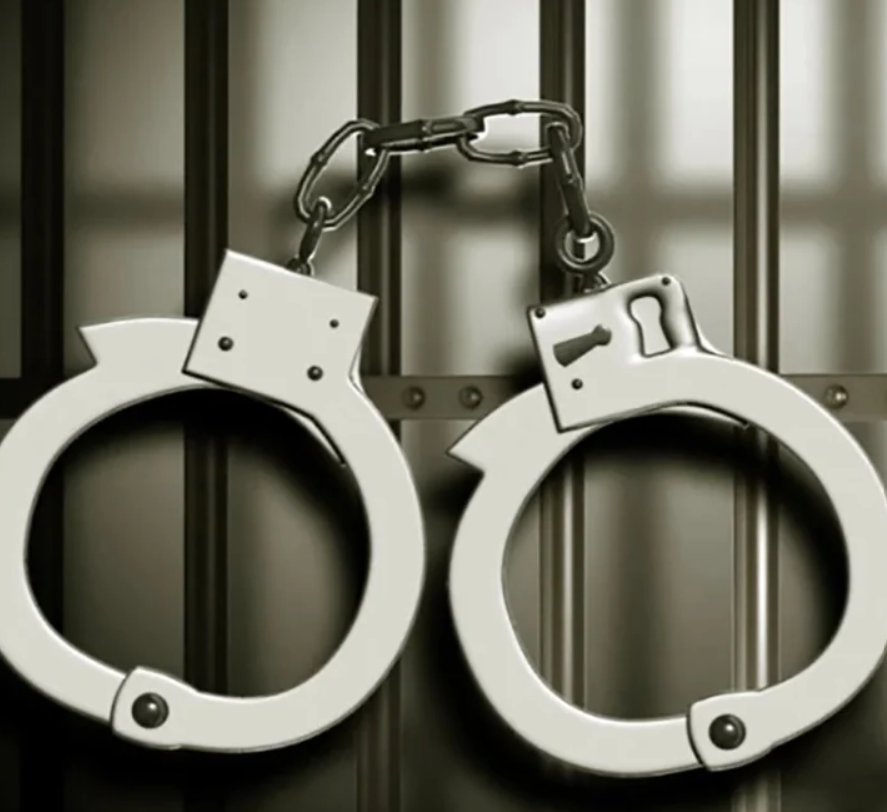 Why Did Brandon Novak Arrested? And Case Details