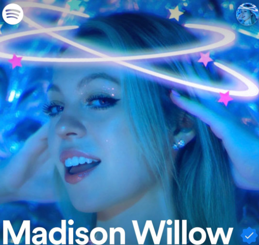 Who Is Madison Willow Boyfriend ? Exploring Relationship Status