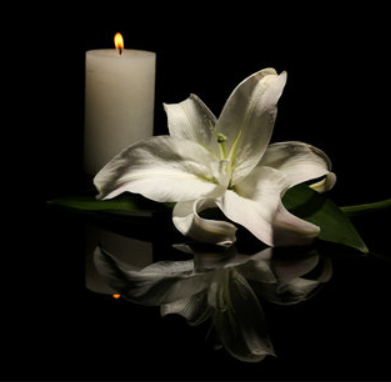 Maryrose Fealey: Obituary, Death Cause And Family Mourns The Loss
