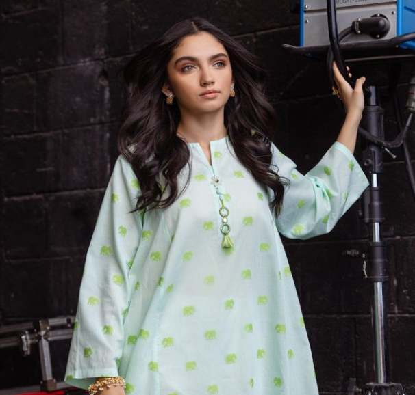 Unveiling Aina Asif's Brother, Ahmed Asif