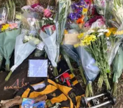 Bedale Joshua Chapman (Obituary): Death Cause, Ethnicity, Religion ...