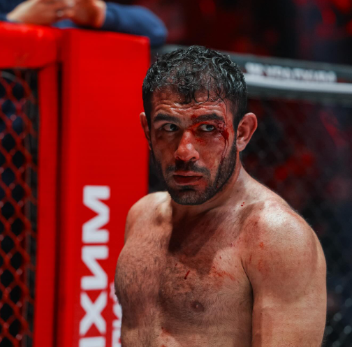 Iranian Fighter Ali Heibati Receives Lifetime Ban, His Background And ...