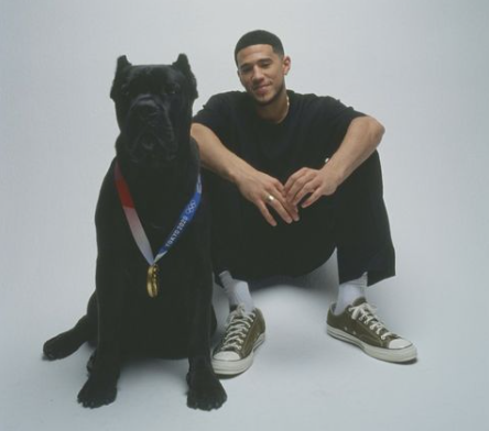 Timberwolves Fans Tease Devin Booker With Coordinated Crying-Photo ...