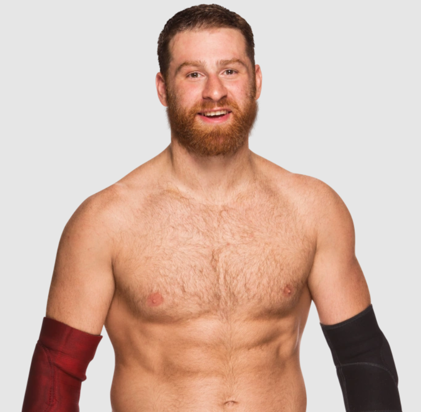 Sami Zayn: Bio, Net Worth In 2024, Career, Early Life, Wife, Kids And ...
