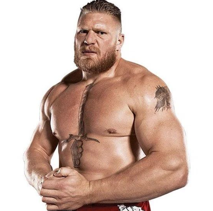 Brock Lesnar (WWE): Bio, Age, Career Journey, Net Worth In 2024 And ...