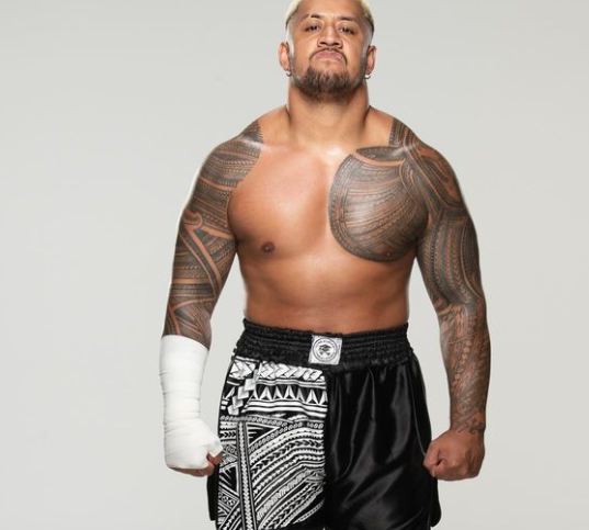 Solo Sikoa Bio, Age, Career, Net Worth Personal Life And More