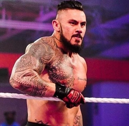 Former WWE Superstar Seeks Fan Input 141 Days After Brief and ...