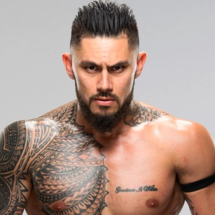 Former WWE Superstar Seeks Fan Input 141 Days After Brief and ...