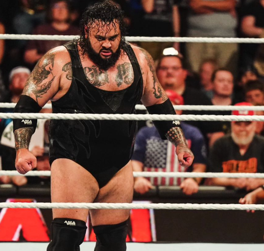 Bronson Reed Bio, Age, Career, Net Worth, Personal Life And More