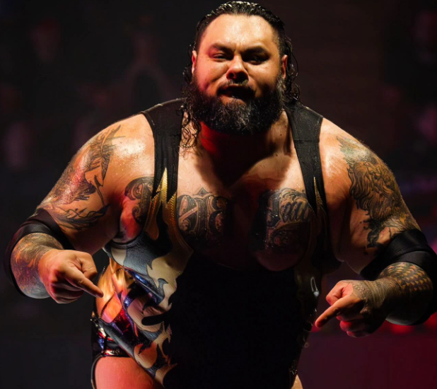 Bronson Reed Bio, Age, Career, Net Worth, Personal Life And More