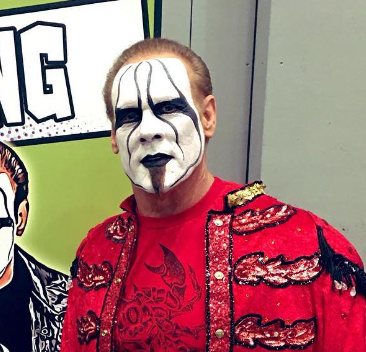 Sting and Kevin Nash: The Reunion Explored, Bio, Wiki, Age, Career ...