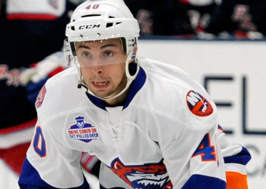 Matthew Gaudreau's Pro Hockey Career: Did He Get His NHL Shot?