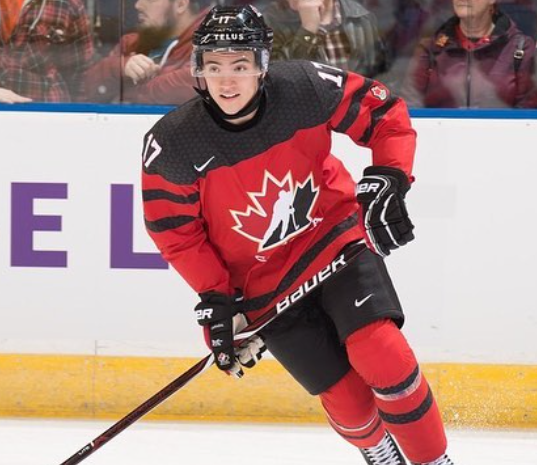 Nick Suzuki Bio, Age, Career, Family, Net Worth And More