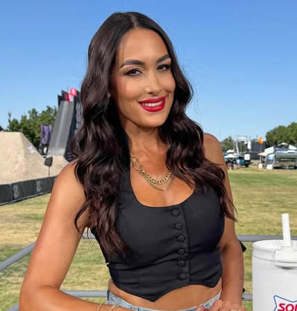 Brie Bella Sends Bold Message After Stepping Outside WWE