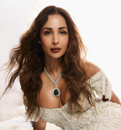 Malaika Arora's Bio, Age, Career, Family, Relationships & Net Worth