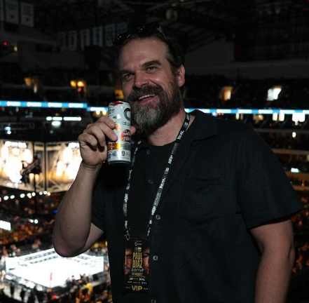 David Harbour's Bio, Career, Net Worth, Personal Life and More
