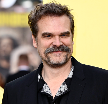 David Harbour's Bio, Career, Net Worth, Personal Life and More